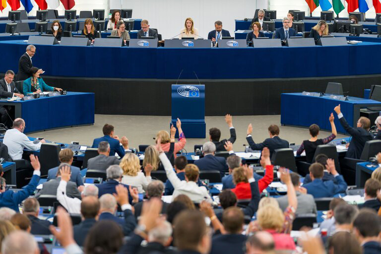 EU-Parlament für Ende der Verbrenner | Flüssiggas Magazin EU-Parlament für Ende der Verbrenner | Flüssiggas Magazin